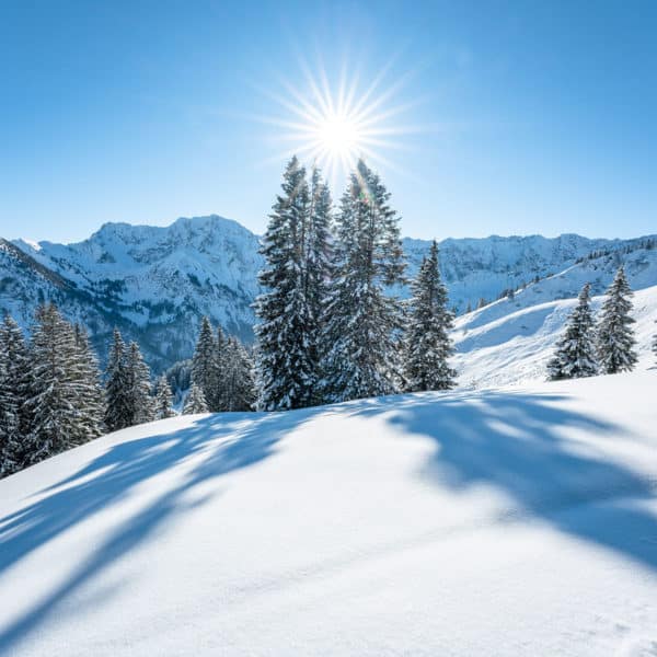 Naturwunder Apartments - nawu - So wunderbar kann Urlaub sein